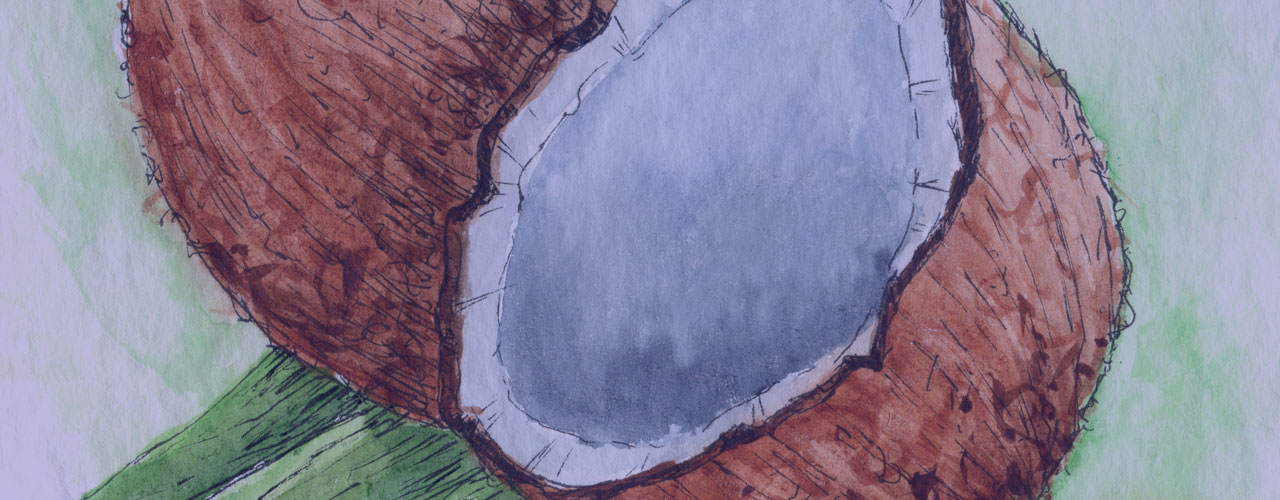 Have you heard about the coconut that saved a president? | Miller Center