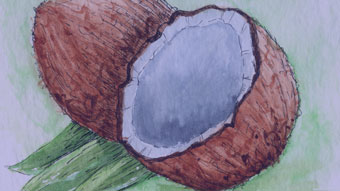 Have you heard about the coconut that saved a president? | Miller Center